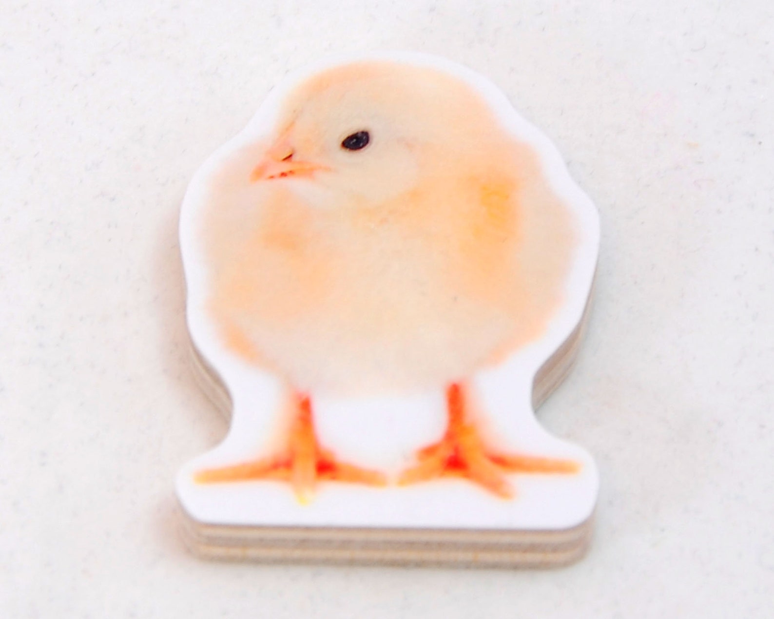 Chick Magnets 5 Magnet Set. Hand-cut Wooden Fridge Magnets. | Etsy