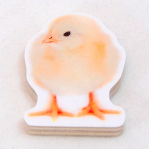 Chick Magnets! 5 Magnet Set. Hand-cut Wooden Fridge Magnets. Cute Baby ...