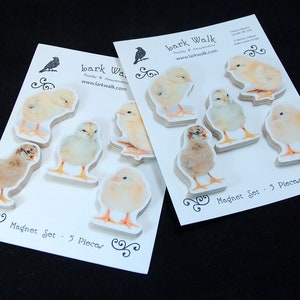 Chick Magnets! 5 Magnet Set. Hand-cut Wooden Fridge Magnets. Cute Baby ...