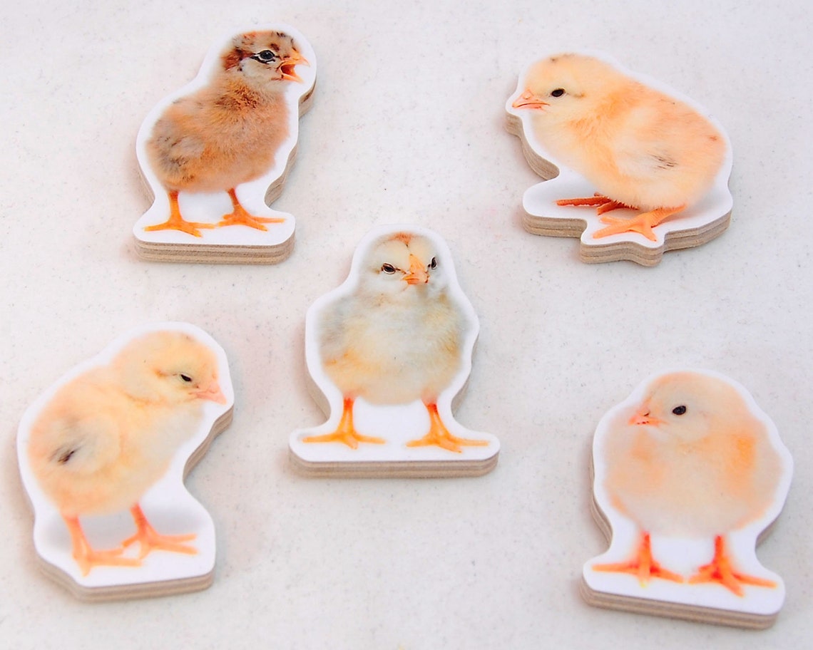 Chick Magnets 5 Magnet Set. Hand-cut Wooden Fridge Magnets. | Etsy