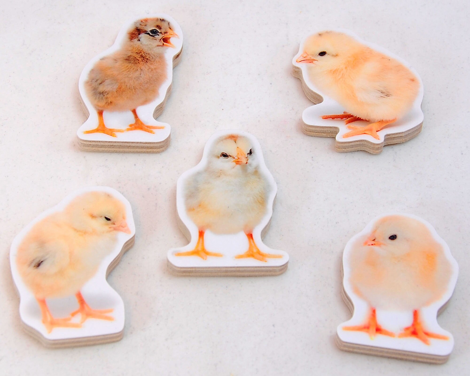 Chick Magnets 5 Magnet set. Hand-cut wooden fridge magnets. | Etsy