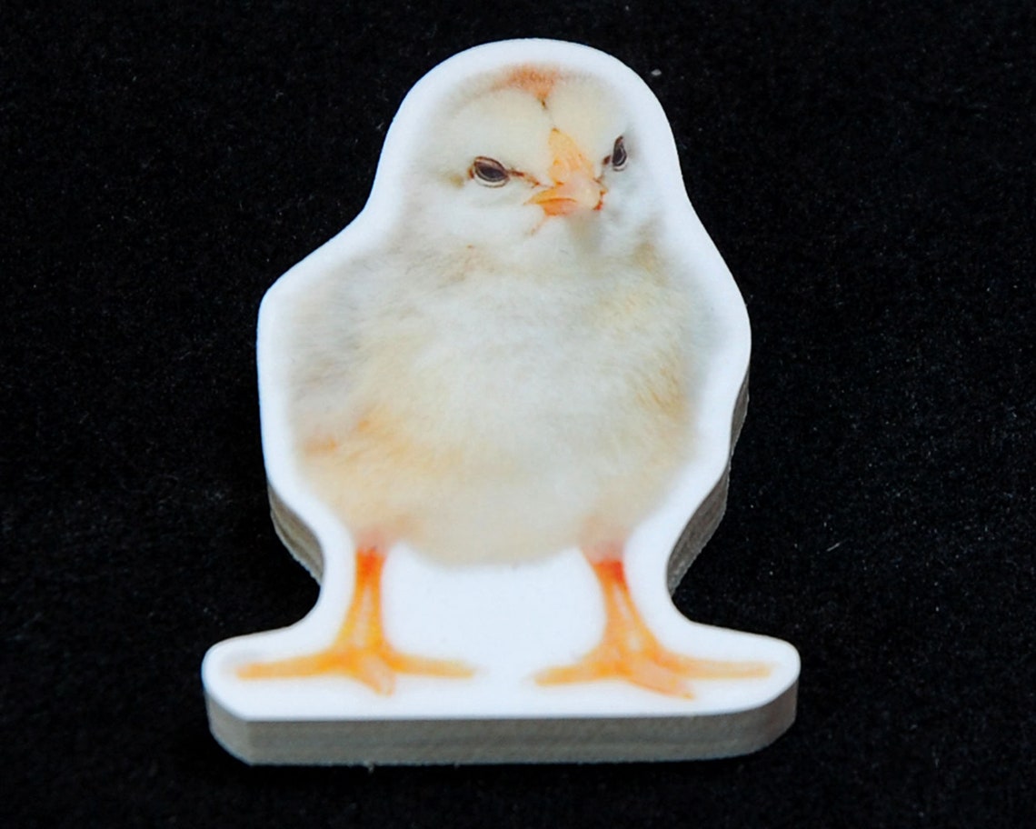 Chick Magnets 5 Magnet Set. Hand-cut Wooden Fridge Magnets. | Etsy