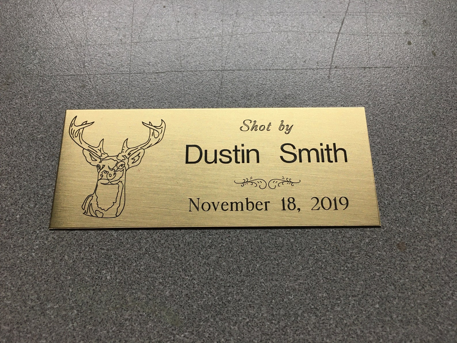 1.5" X 3.75" Custom Engraved Brass Plate, Deer Mount, Taxidermy ...