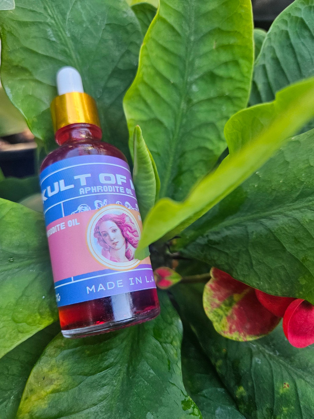 Aphrodite Blessed Love Oil - Etsy