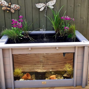 Iris Rectangle Clear View Garden Aquarium - Raised Rectangle Fish Pond ...