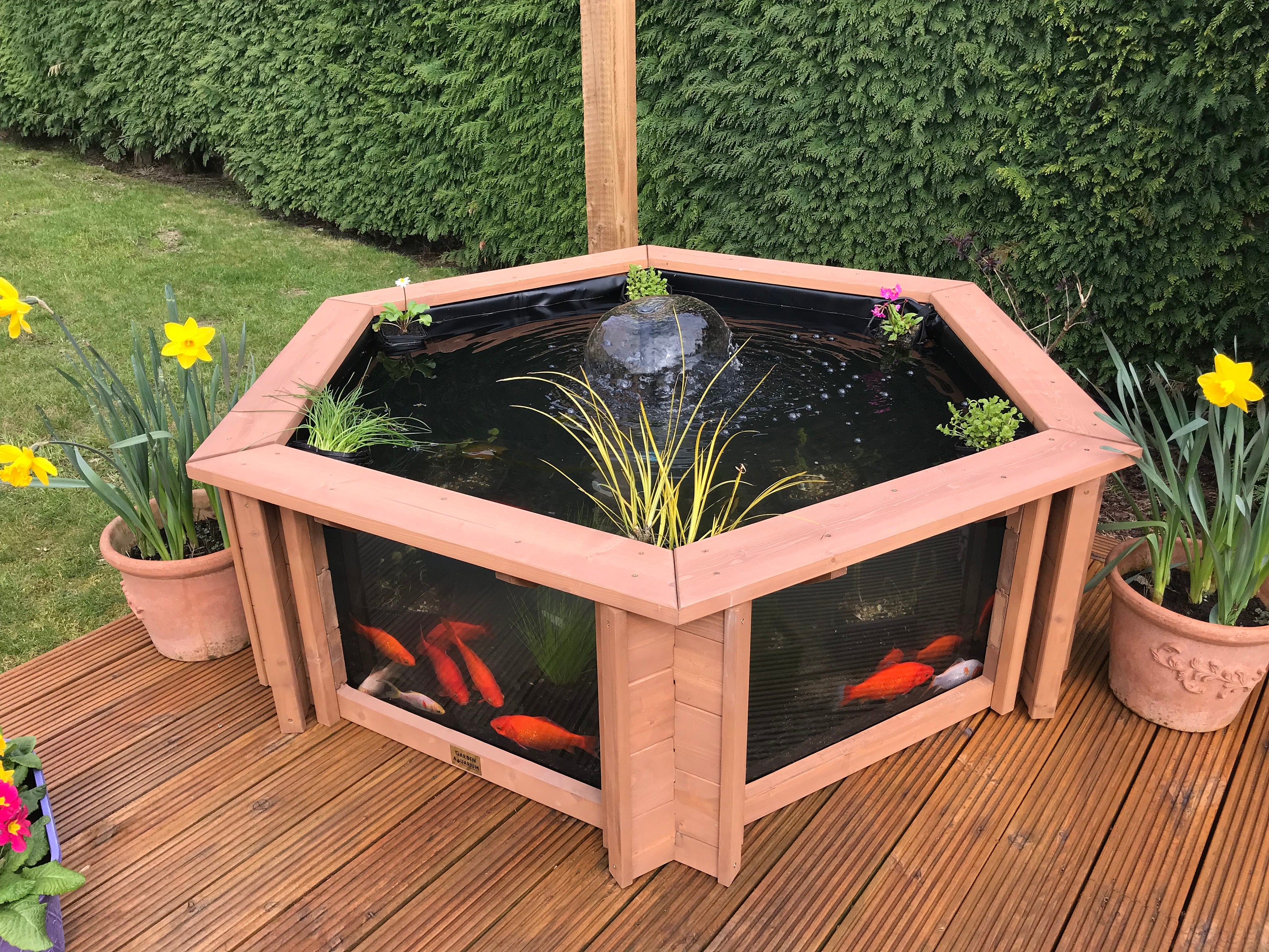 Lily Clear View Garden Aquarium Raised Hexagon Fish Pond With Windows ...