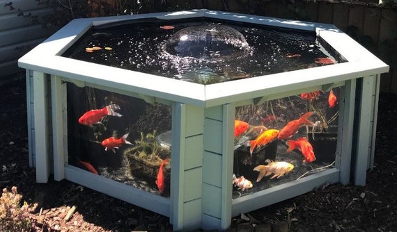 Lily Clear View Garden Aquarium Raised Hexagon Pond Free USA - Etsy UK