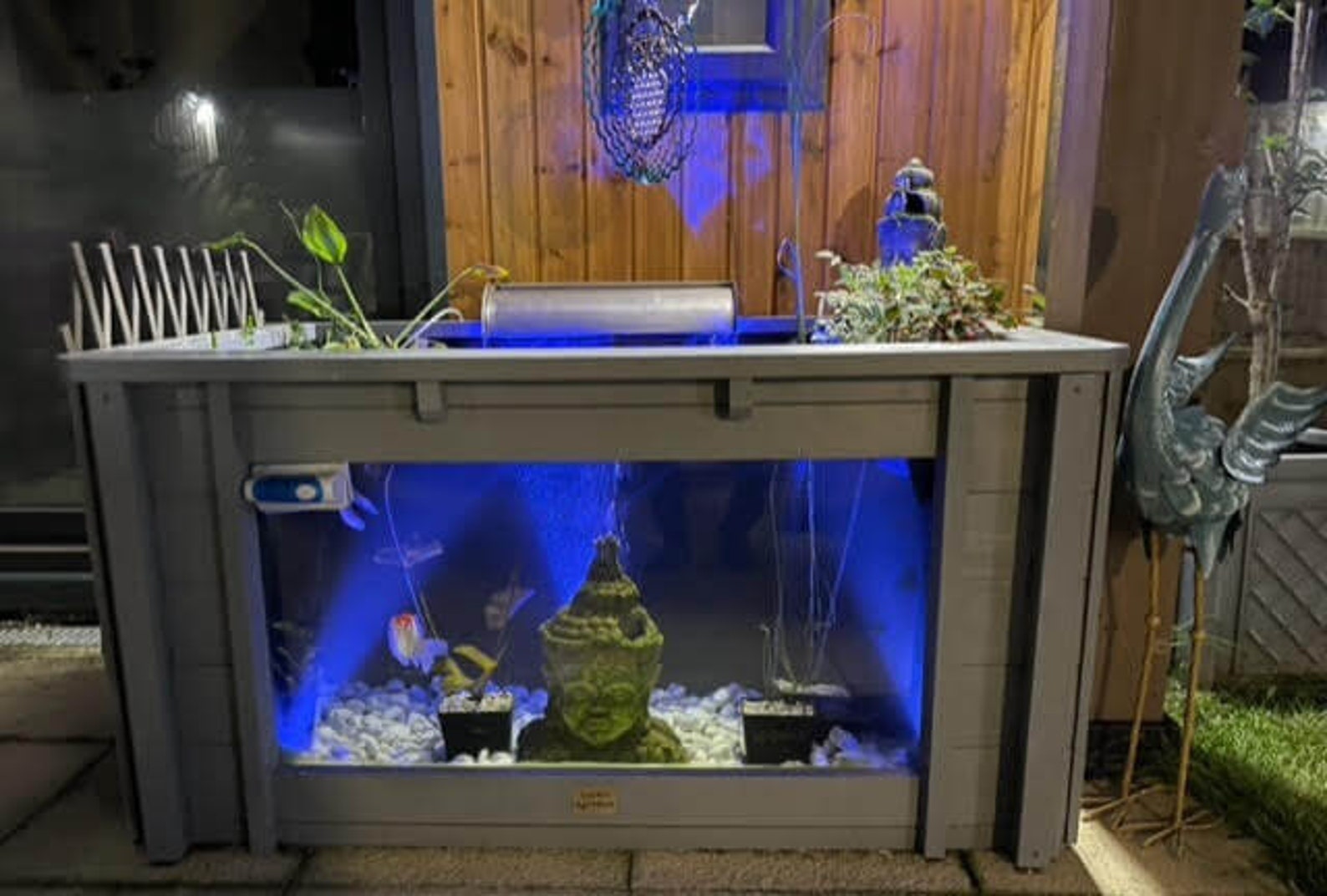 Iris Clear View Garden Aquarium Raised Rectangle Fish Pond With Large ...