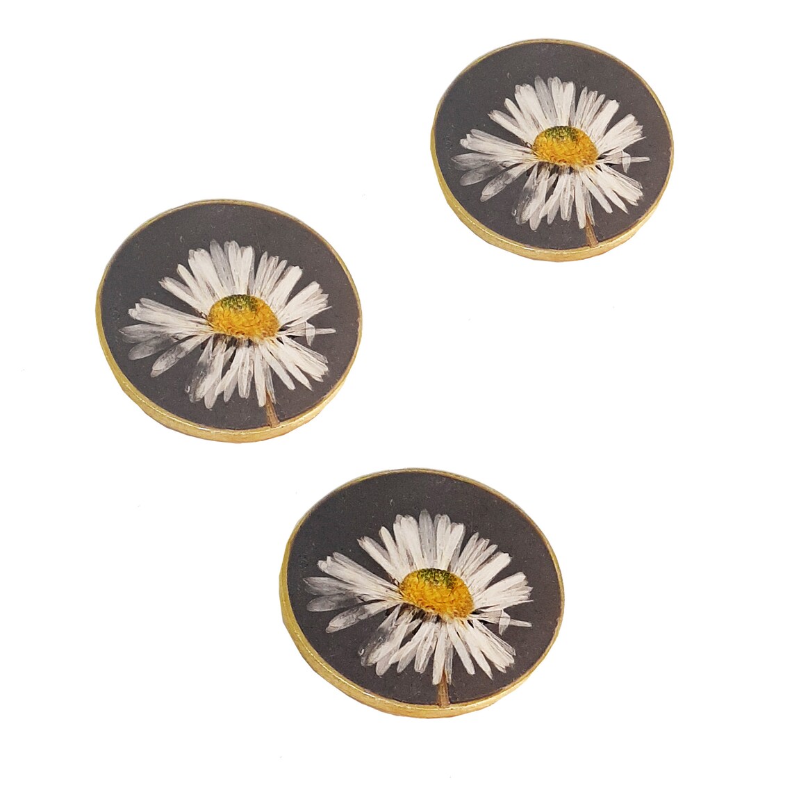 Real Pressed Daisy Flower Brooch Contemporary Botanical Dry - Etsy