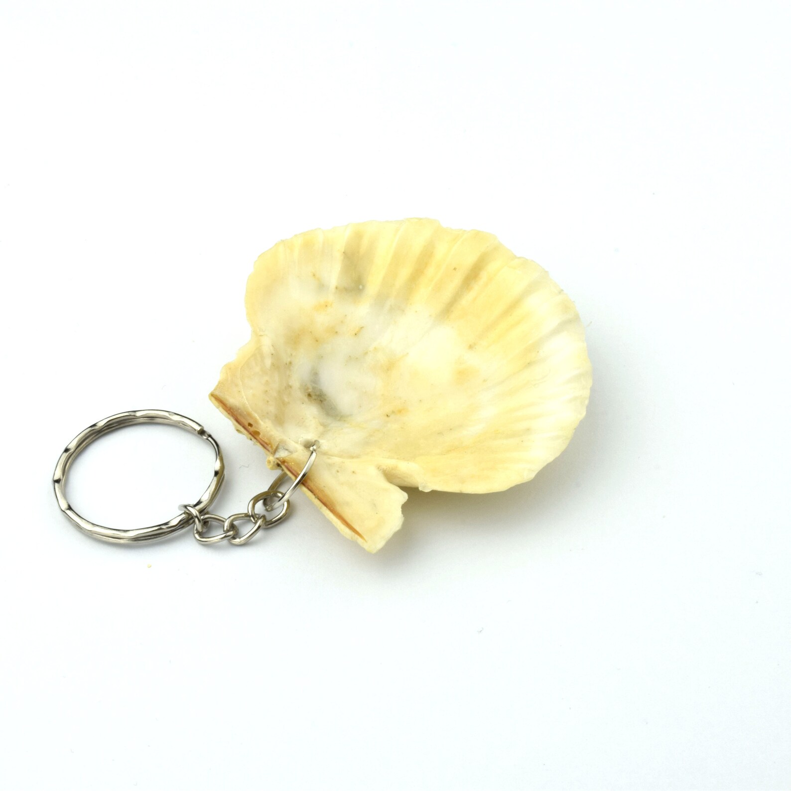 Natural Seashell Keychain, Nautical Keychain, Handmade Keychain - Etsy ...