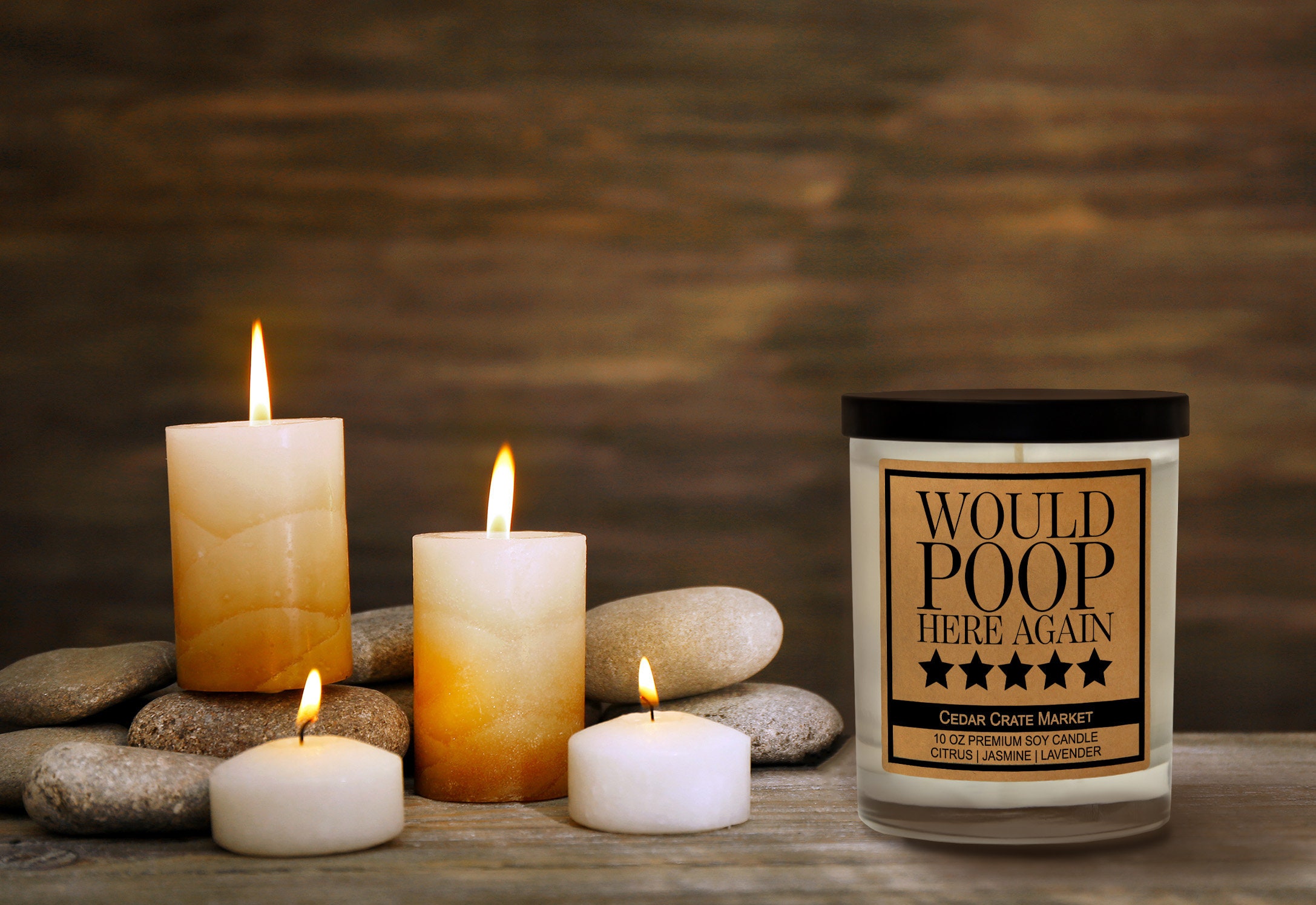 Funny Bathroom Candle Would Poop Here Again Citrus Jasmine | Etsy