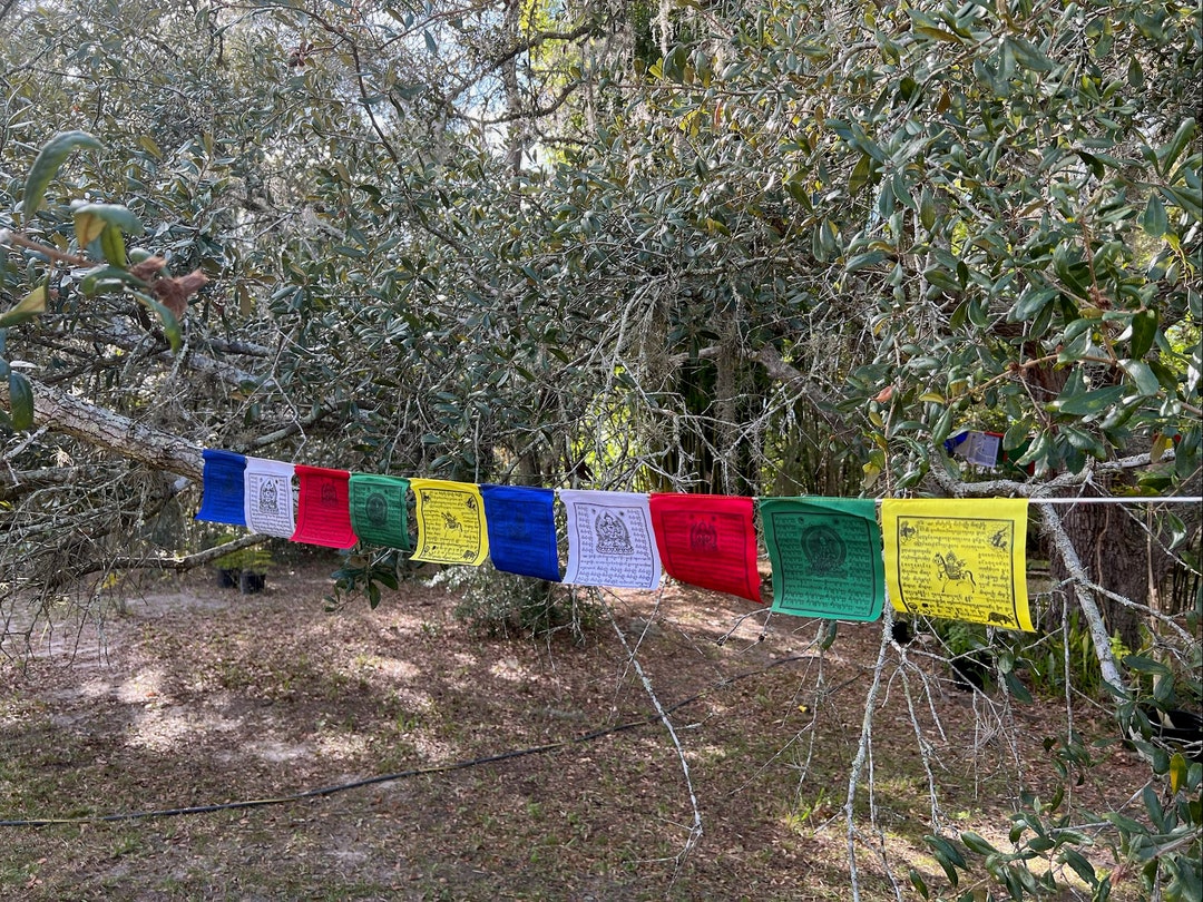 Tiny Mixed Deity |tibetan Prayer Flags | 4in X 4in | 1 Strand of 10 ...