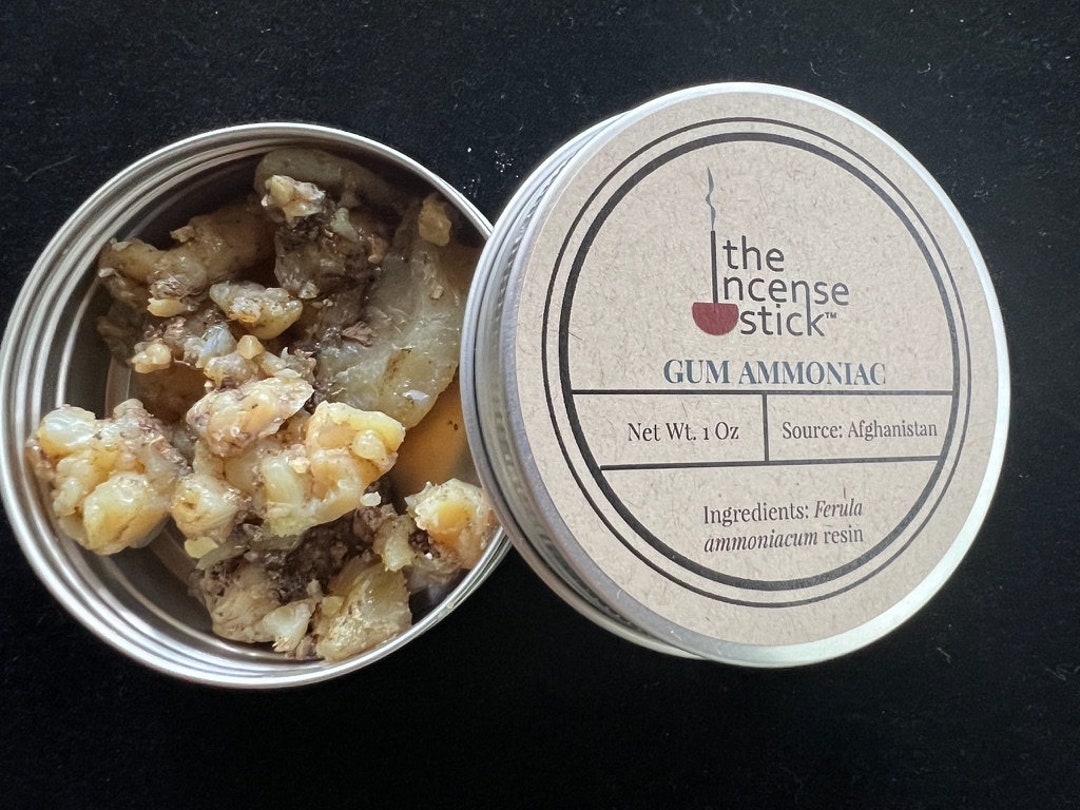 Gum Ammoniac Resin | 1 Ounce | Ferula Ammoniacum | 100% Natural Tree ...