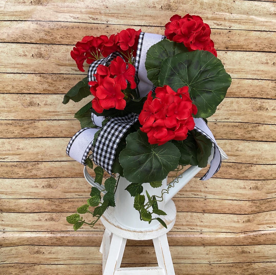 Geranium Arrangement, White Watering Container, Patio Garden Decor ...