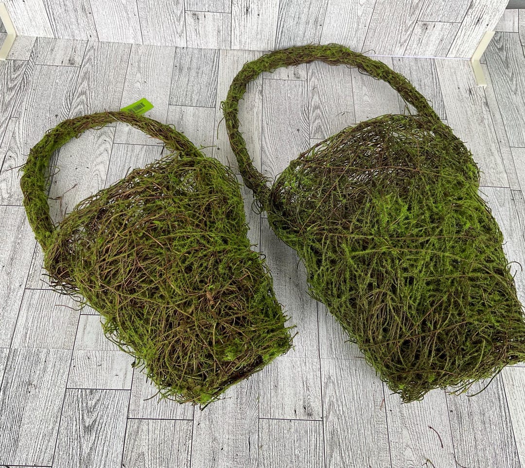 Moss Half Baskets Set: Natural Wall Decor, DIY Craft Supply - Etsy
