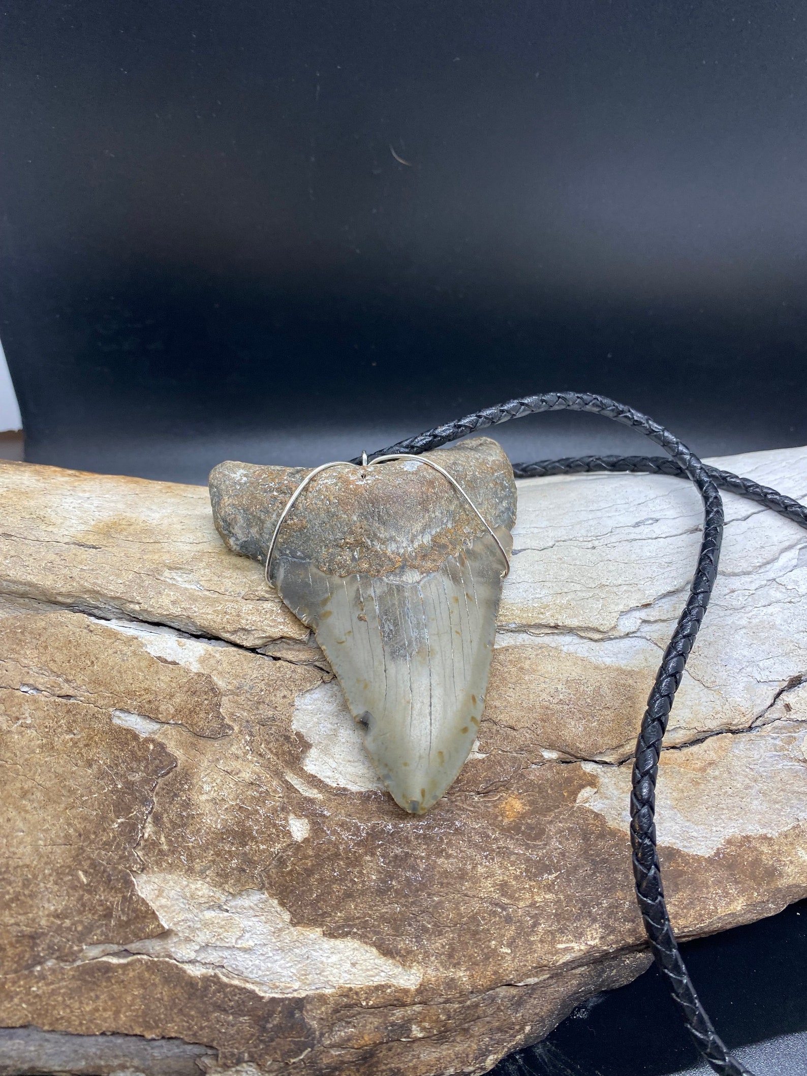 Megalodon Necklace, Megalodon Shark Tooth Necklace, Fossil Shark Tooth ...