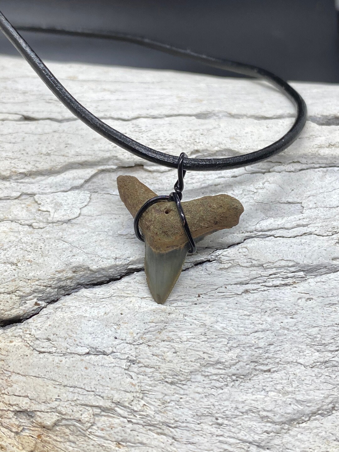 Bull Shark Necklace Shark Tooth Necklace Fossil Shark Tooth - Etsy