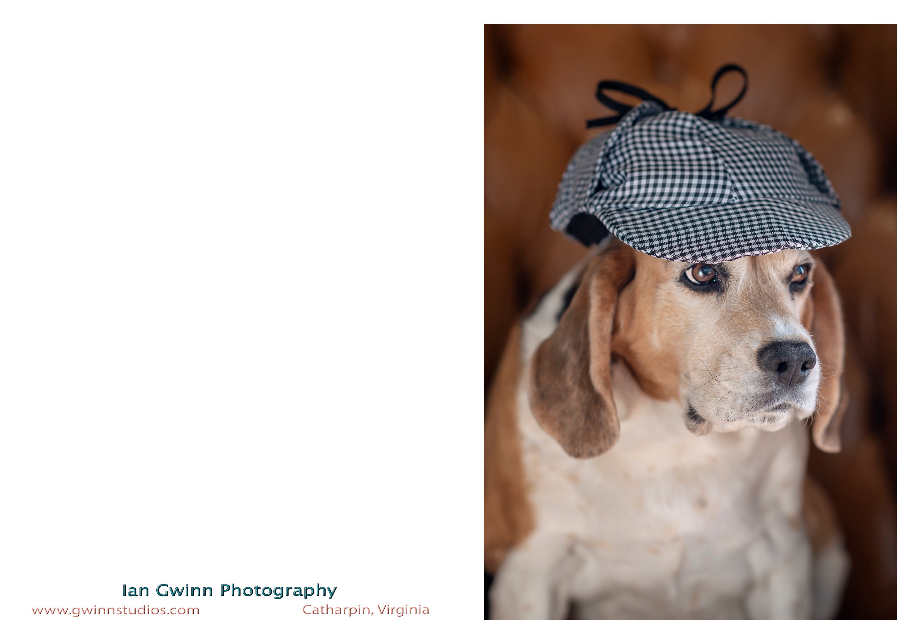 Beagle in Sherlock Holmes' Hat_1 - Etsy