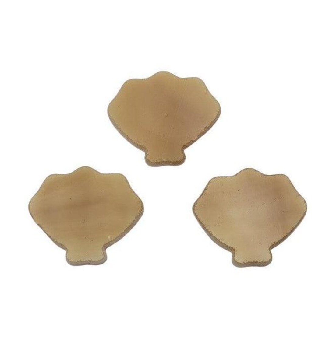 Three Seashells Clam Shells Small Glass Precut 96 COE Sea Life Series ...