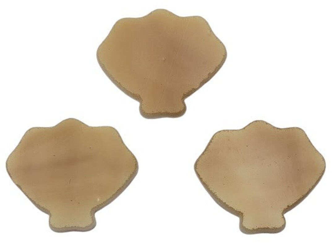 Three Seashells Clam Shells Small Glass Precut 96 COE Under the Sea ...