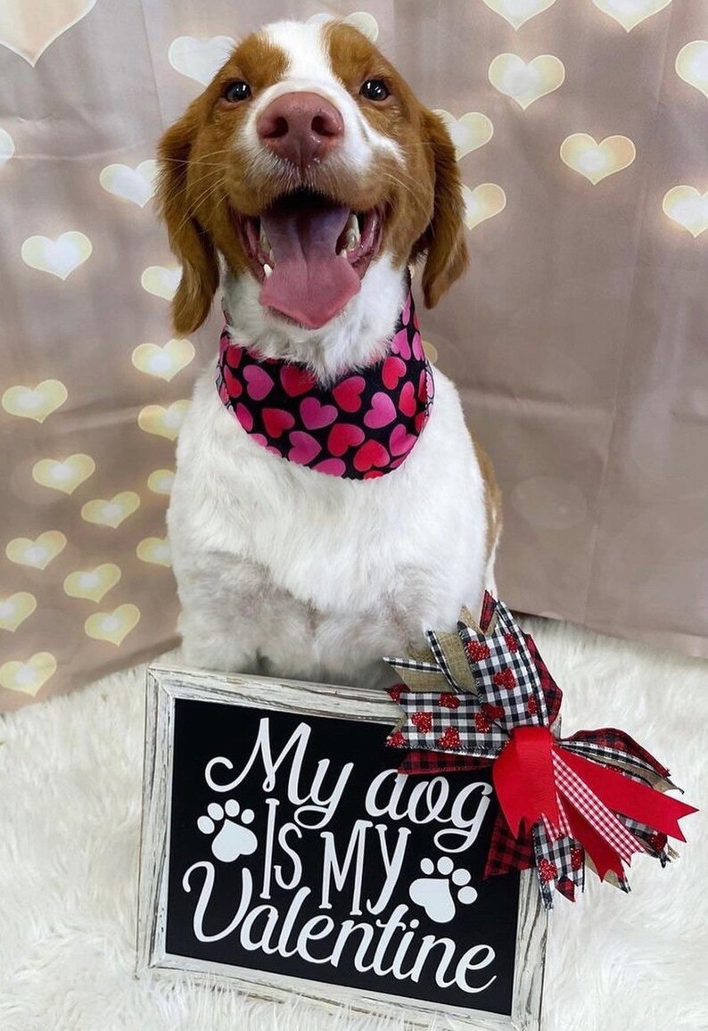 Dog Paw Pet Valentines Day Sign Personalized Dog Decor Be My - Etsy