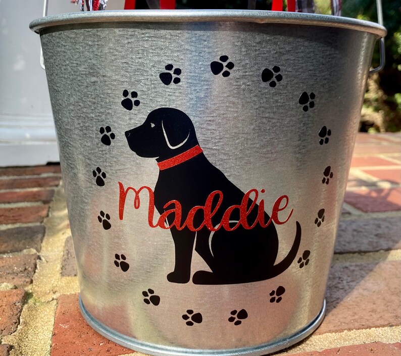 Personalized Pet Treat Bucket, Monogram Lab Dog Toy Basket, Custom ...
