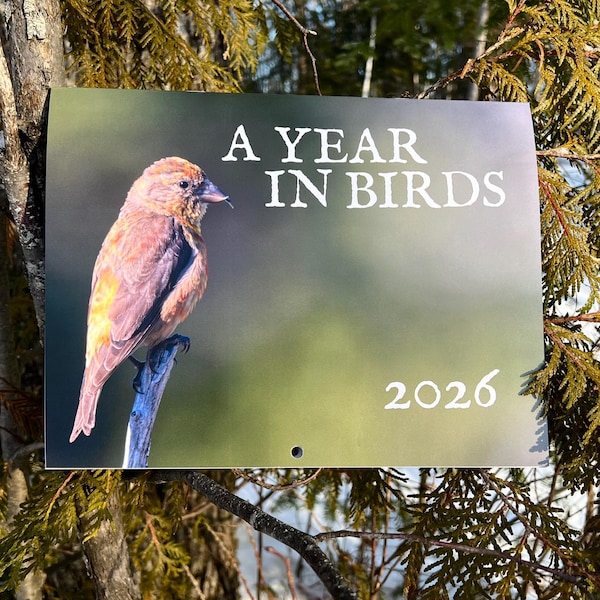 Kitchen 2026 Calendar - Etsy