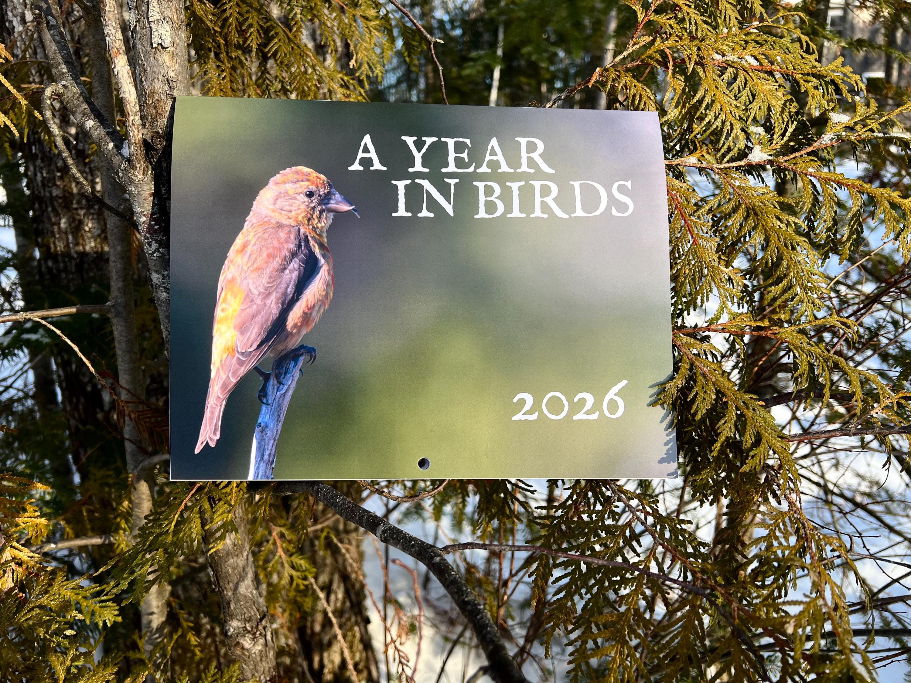 A Year in Birds 2026: A Naturalist's Calendar | 2026 Calendar, Gifts ...