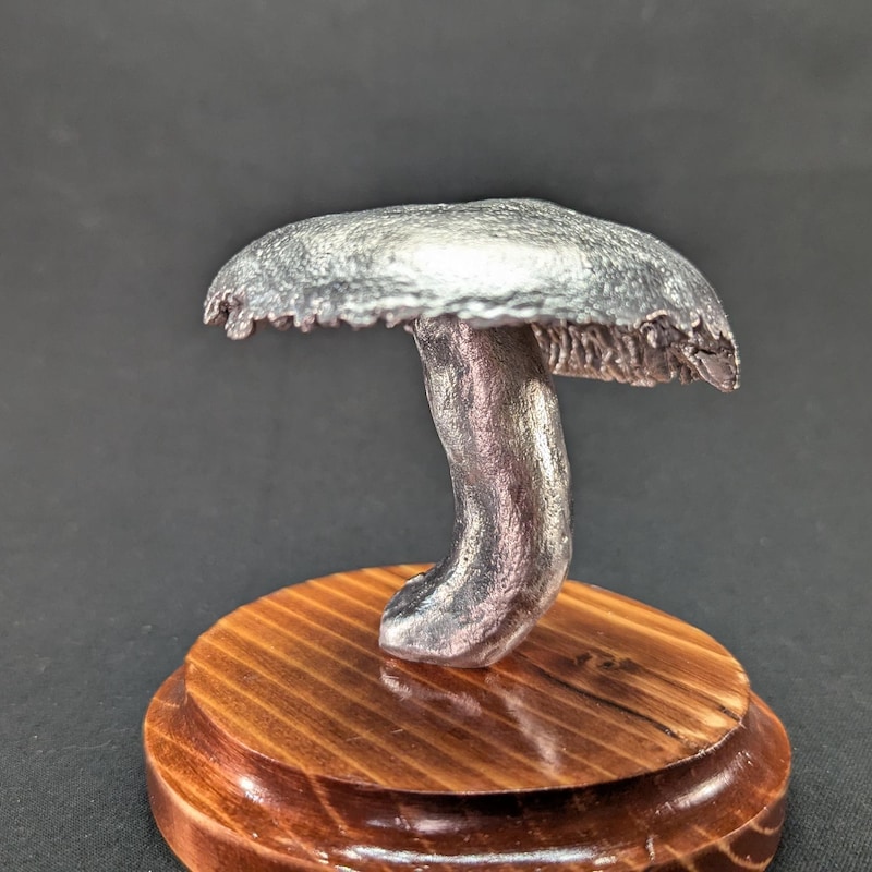 MetalmushroomCo - Etsy