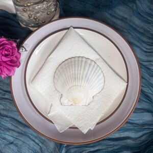 Seashell Place Cards - Etsy