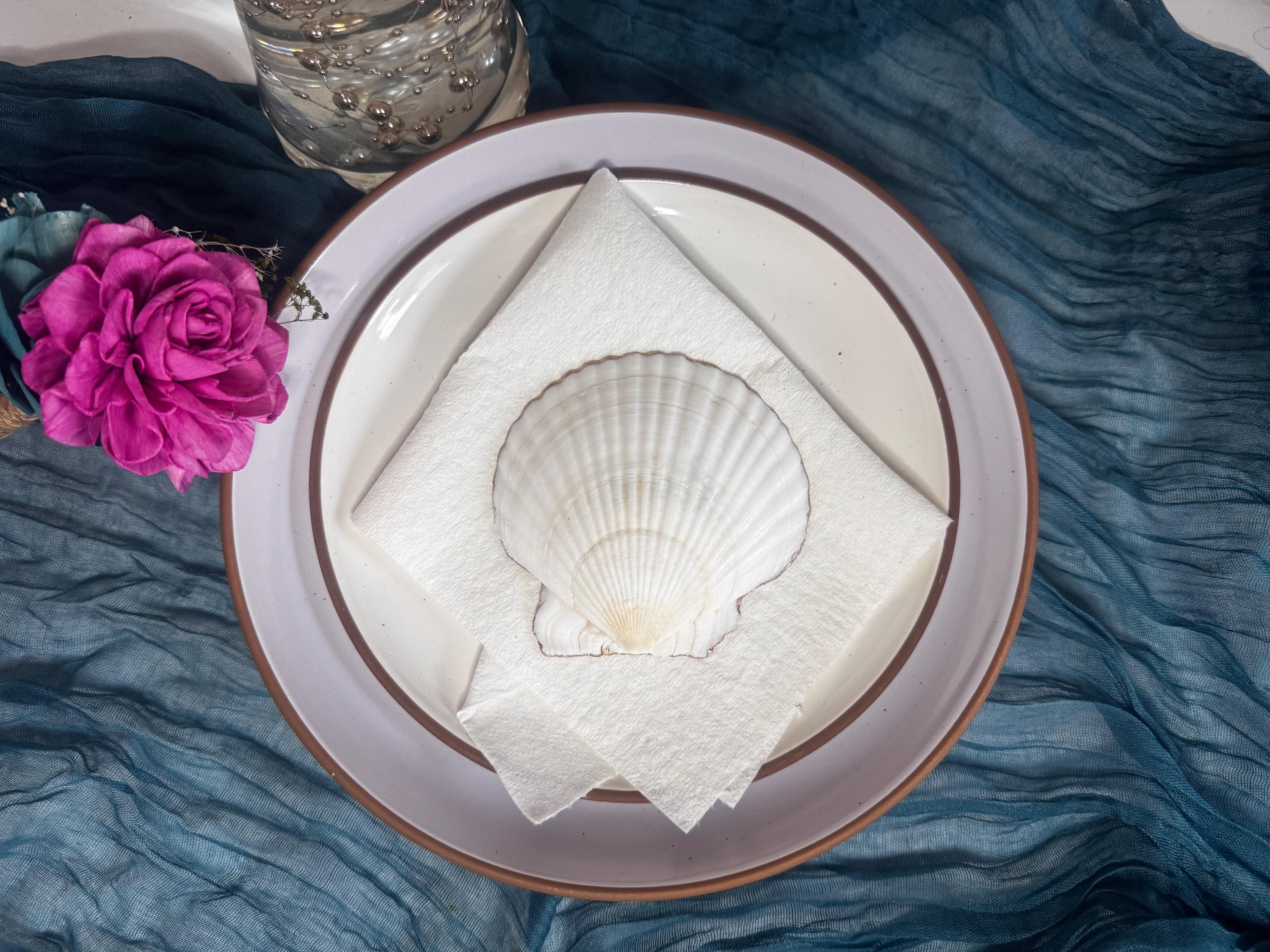 Seashell Place Cards - Etsy