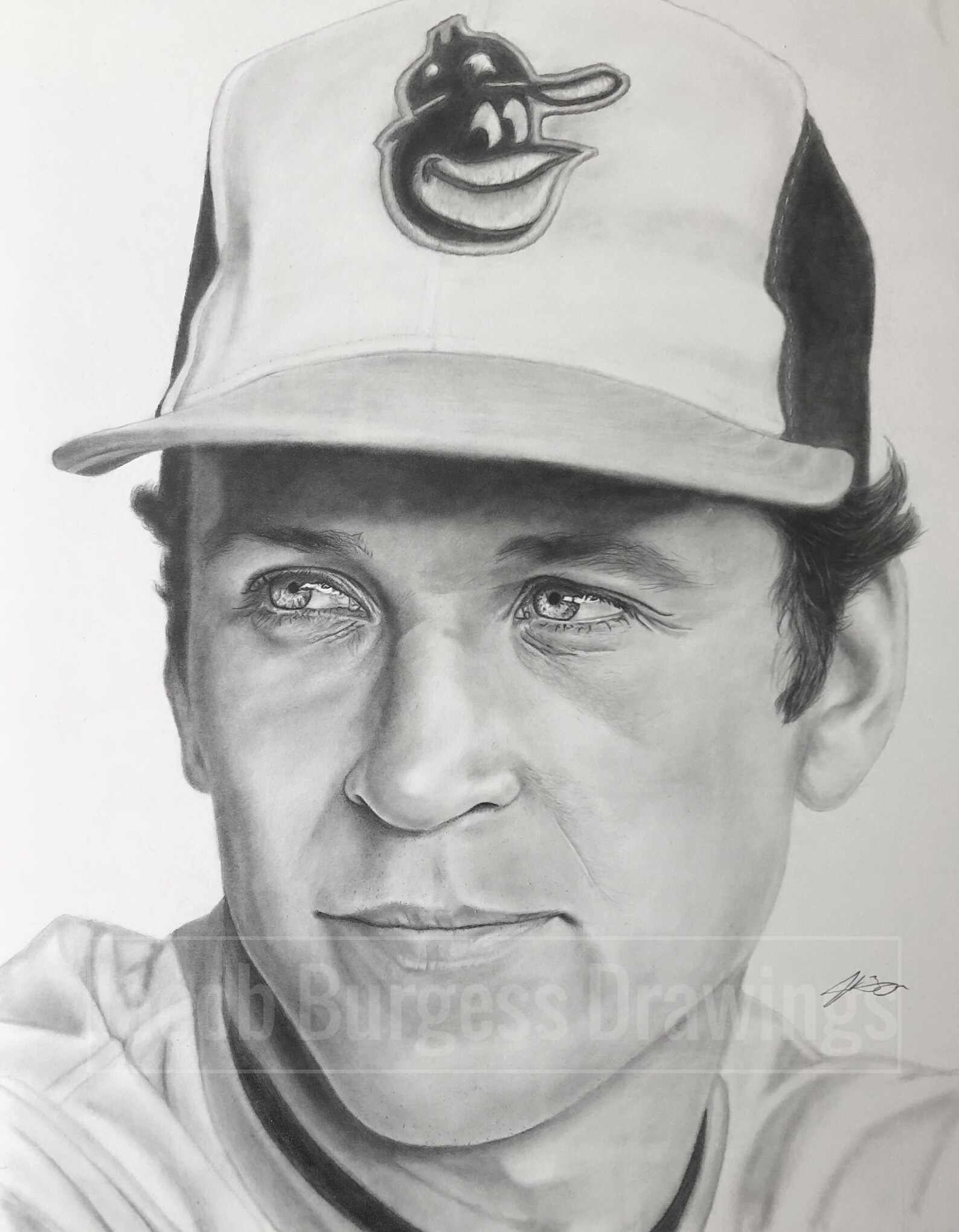 Cal Ripken Jr Pencil Drawing Print 11x14 Numbered | Etsy