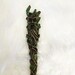 Greenman Wand Royal Scepter Altar Tool Staff Blasting Rod Caduceus ...