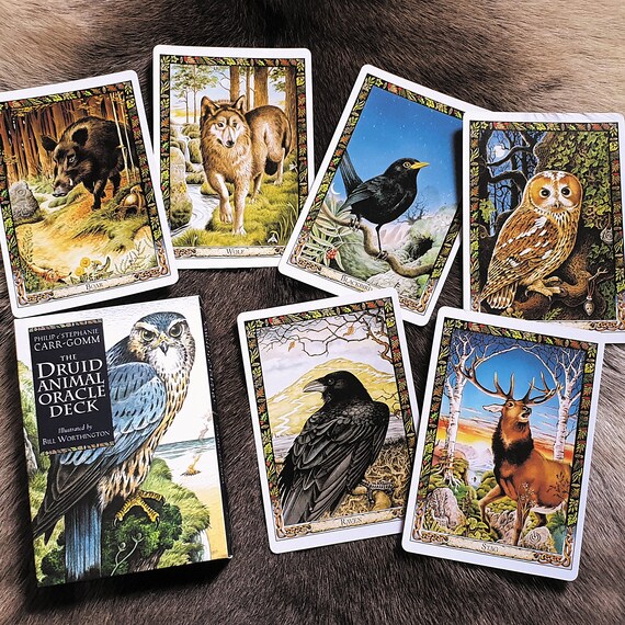 Druid Animal Oracle Deck Cartomancy Divination Tool - Etsy Ireland