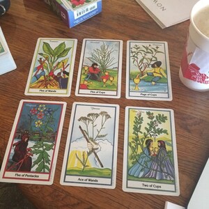 Herbal Tarot Deck | Cartomancy | Divination Tool | Oracle Cards | Major Arcana | Guide Book ...