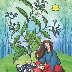 Herbal Tarot Deck | Cartomancy | Divination Tool | Oracle Cards | Major Arcana | Guide Book ...