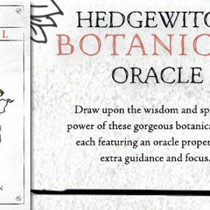 Hedgewitch Botanical Oracle Cards | Cartomancy | Divination Tool ...