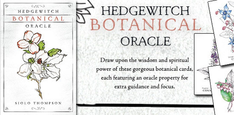 Hedgewitch Botanical Oracle Cards Cartomancy Divination - Etsy