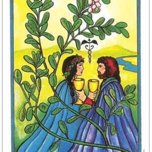 Herbal Tarot Deck | Cartomancy | Divination Tool | Oracle Cards | Major Arcana | Guide Book ...