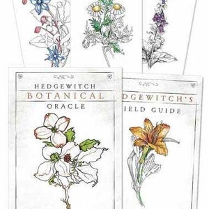 Hedgewitch Botanical Oracle Cards | Cartomancy | Divination Tool | Tarot Deck | Major Arcana ...