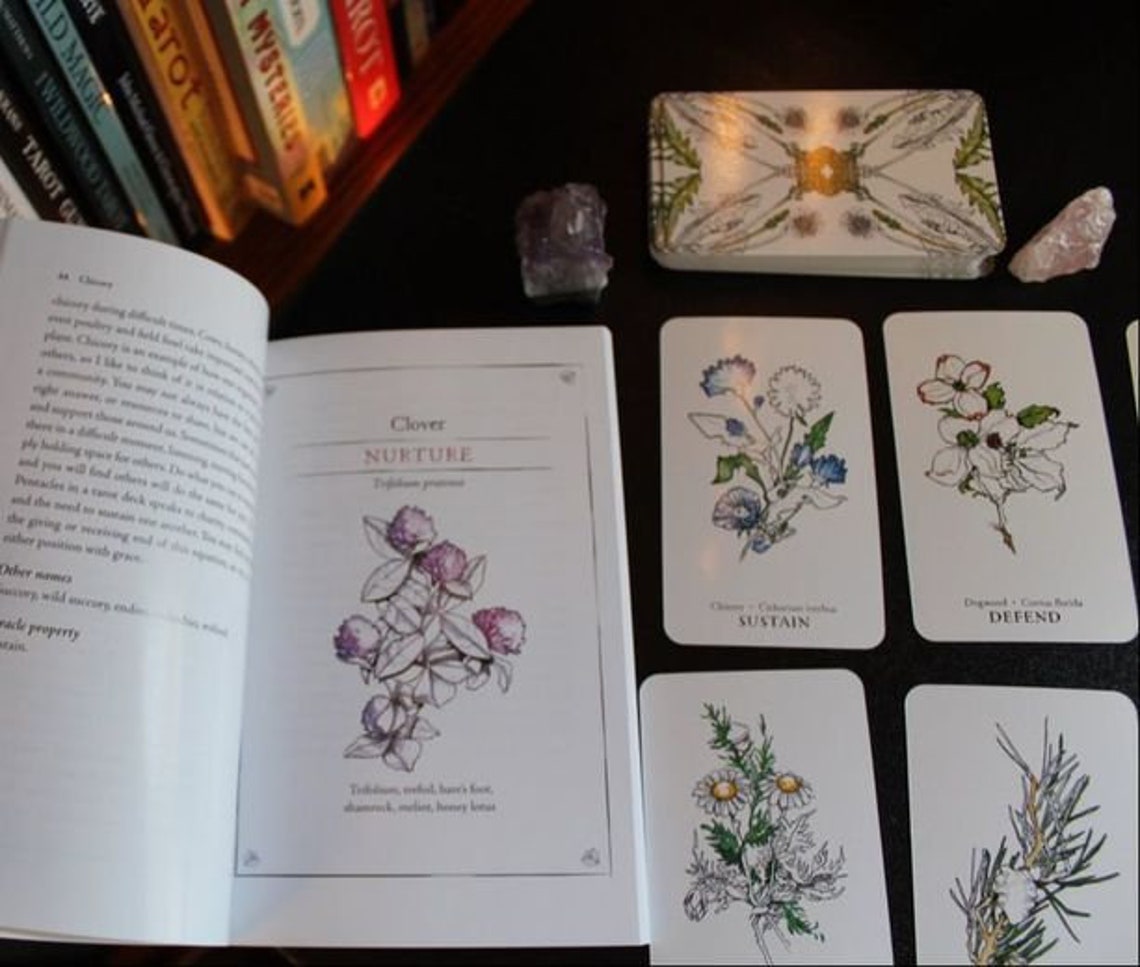 Hedgewitch Botanical Oracle Cards Cartomancy Divination - Etsy