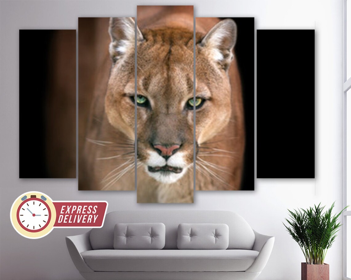 Puma Canvas Print Puma Photo Puma Face Puma Print Puma - Etsy
