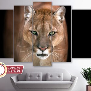 Puma Canvas Print, Puma Photo, Puma Face, Puma Print, Puma Canvas Art ...