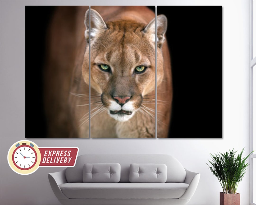 Puma Canvas Print, Puma Photo, Puma Face, Puma Print, Puma Canvas Art ...