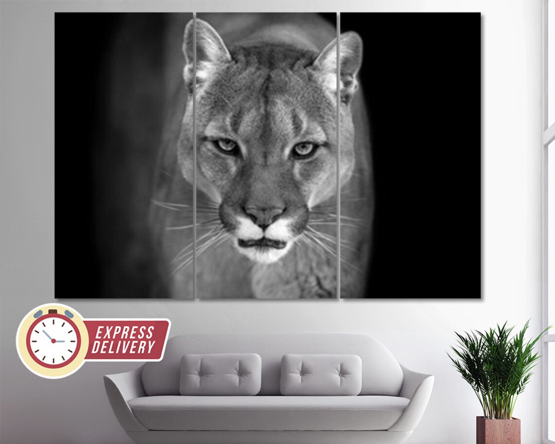 Puma Canvas Print Puma Photo Puma Face Puma Print Puma - Etsy