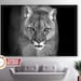 Puma Canvas Print, Puma Photo, Puma Face, Puma Print, Puma Canvas Art ...