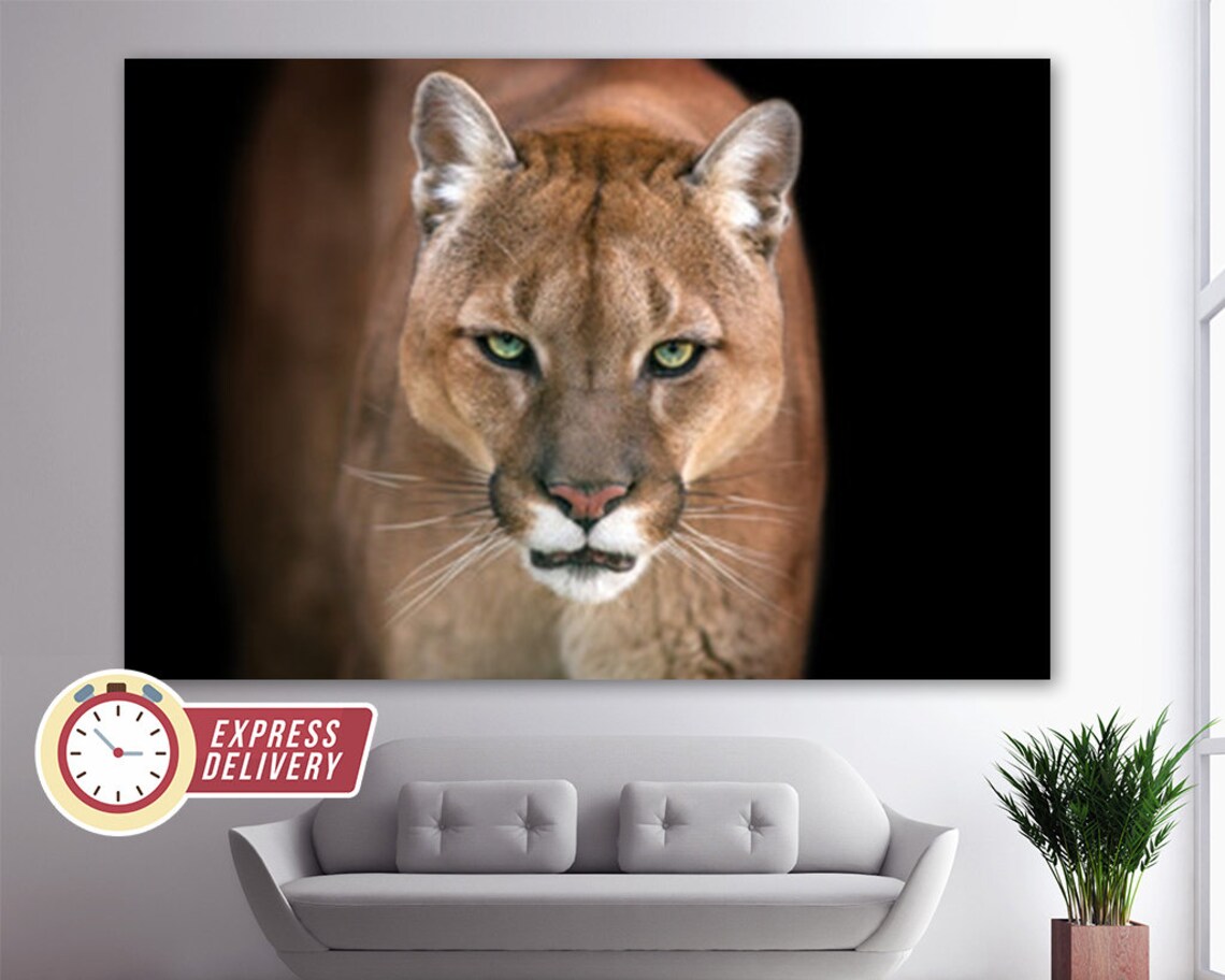 Puma Canvas Print Puma Photo Puma Face Puma Print Puma - Etsy