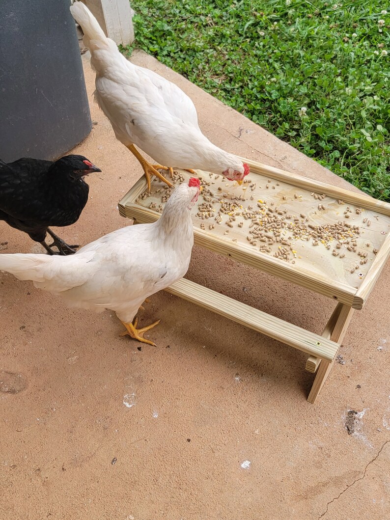Chick Nic Picnic Table for Chickens or Other Small Animals - Etsy