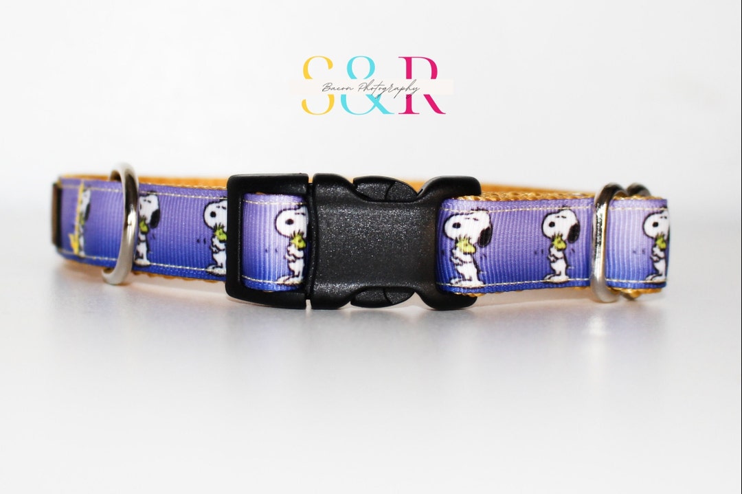 Cartoon Beagle and Best Friend Dog Collar Small Dog Collar 5/8 Wide ...