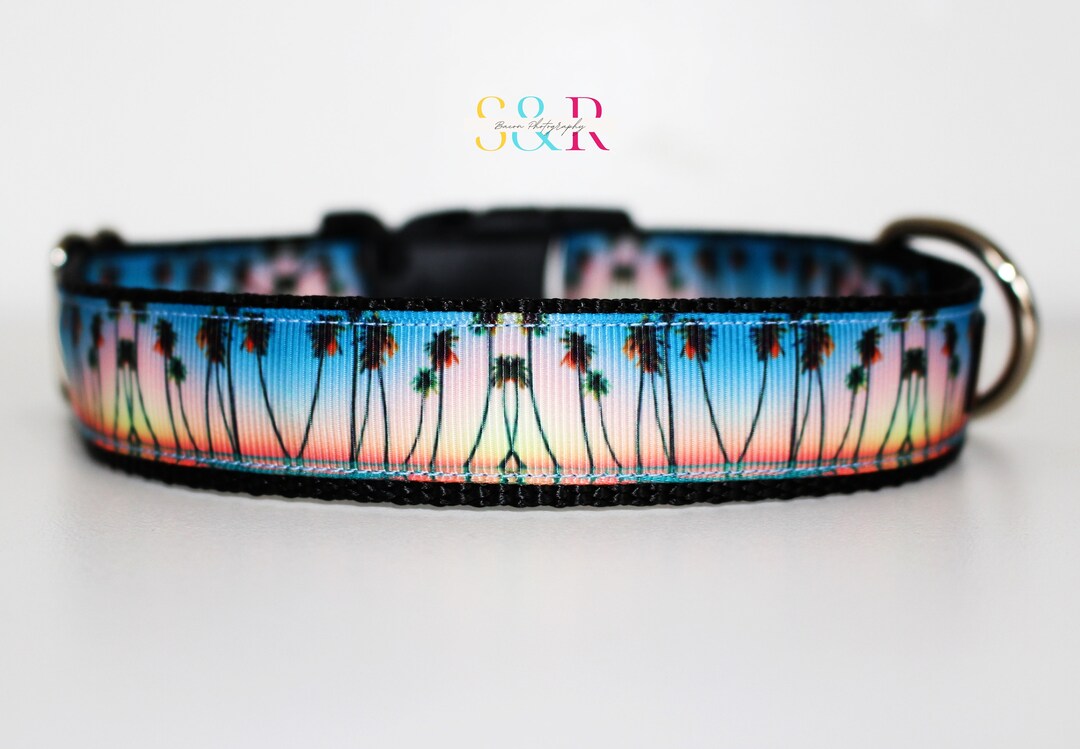 Tropical Sunrise Dog Collar - Beach Dog Collar - Summer Dog Collar ...